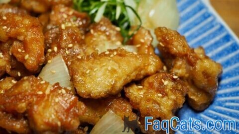 Can Cats Eat Orange Chicken – FAQcats.com