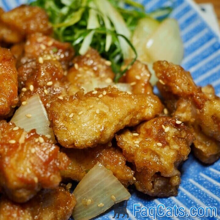 Can Cats Eat Orange Chicken – FAQcats.com