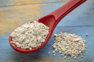 How To Apply Diatomaceous Earth To Cats – What To Know! – FAQcats.com